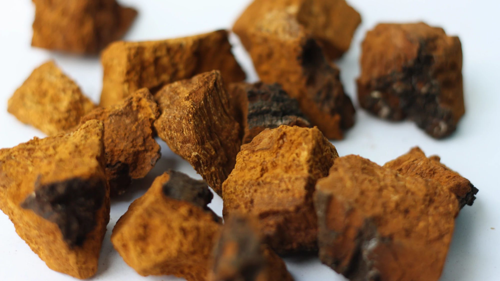 Chaga Mushrooms for Dog 🐾 Superfood for Immune Support & Health